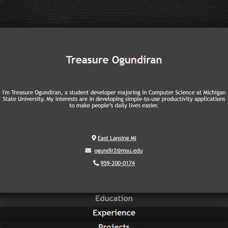 Treasure Ogundiran | Work